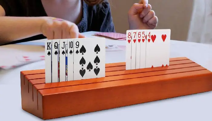 Best Blackjack Dealing shoes Review - Card Shuffler Guide